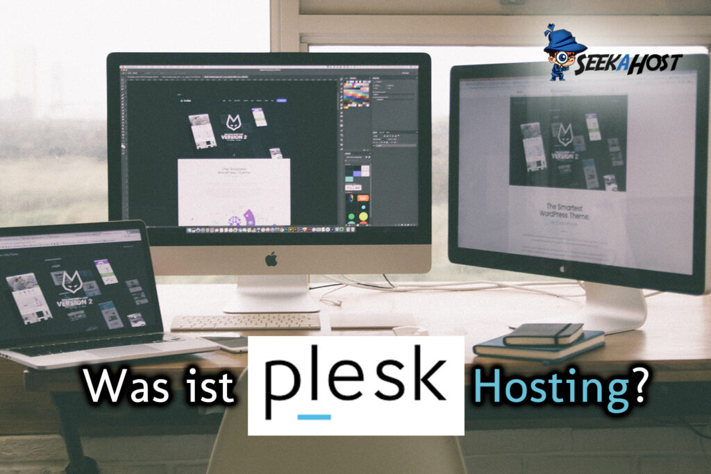 Was ist Plesk Panel Hosting und was bietet es?